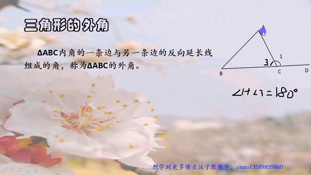 鲁教版数学8.6.2三角形的外角定理