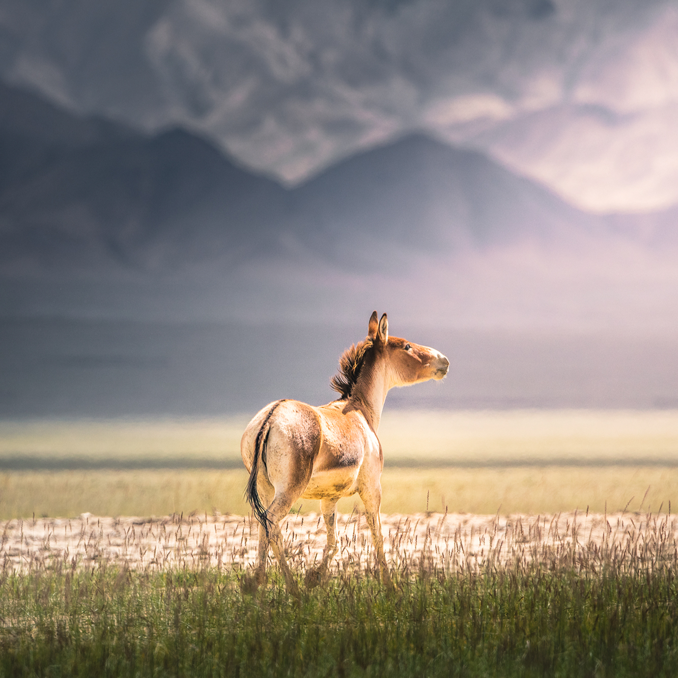 偏远山区的山人 