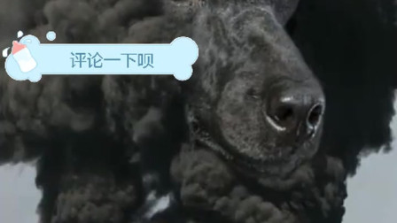 儿童牵引绳,系住妈妈们的心,宝妈出门带娃更轻松!