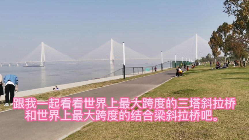 跟我一起看看世界上最大跨度三塔斜拉桥和最大跨度结合梁斜拉桥吧