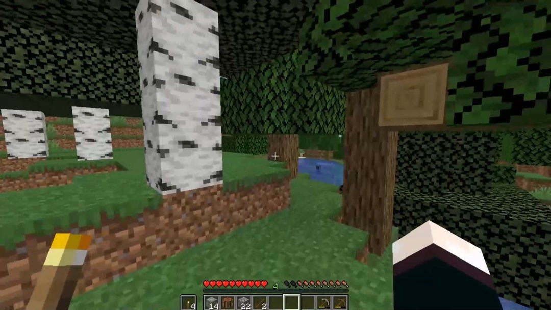 小伙玩完我的世界后称迷你世界都是垃圾