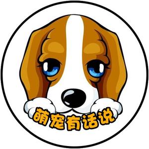 萌宠有话说o 
