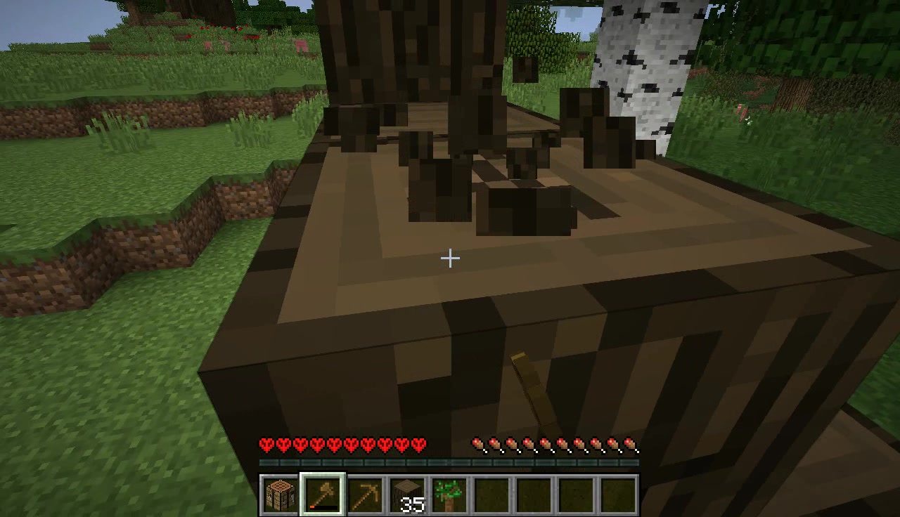 我的世界 极限生存 EP.1 (上)