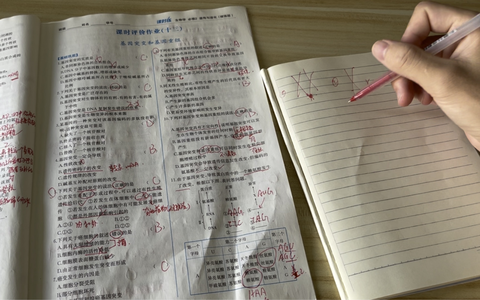 课时评价作业(十三)