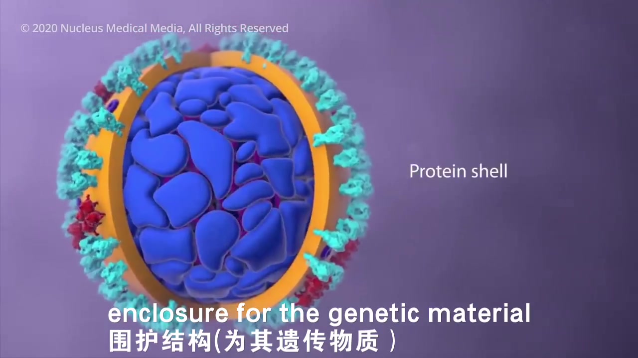 你真的知道新冠病毒是怎么感染你的?