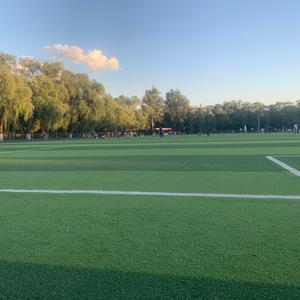 专注自媒体我是雲中雨 