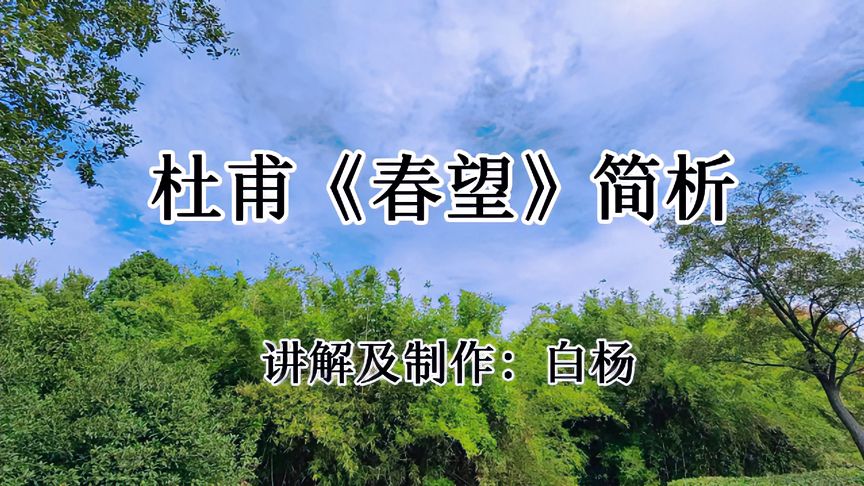 杜甫《春望》简析,烽火连三月,家书抵万金。古诗词阅读(52)