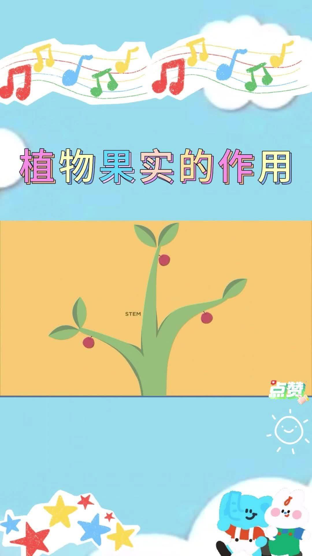 植物果实的作用