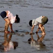 国外科技先知道 