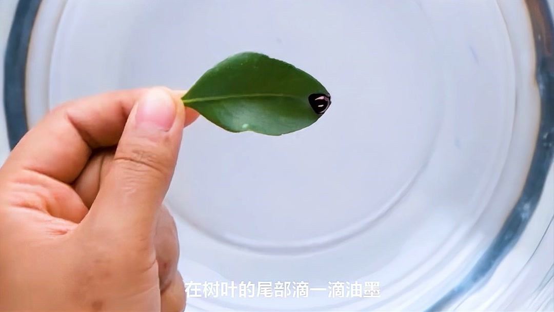 盘点几个简单有趣的科学小实验,在家陪孩子边玩边长知识!