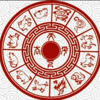 张军霞说说娱乐 