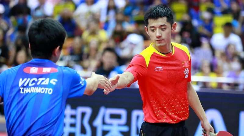 张本智和4-0完胜张继科,然而下一秒,却被另一个中国爷们打懵了