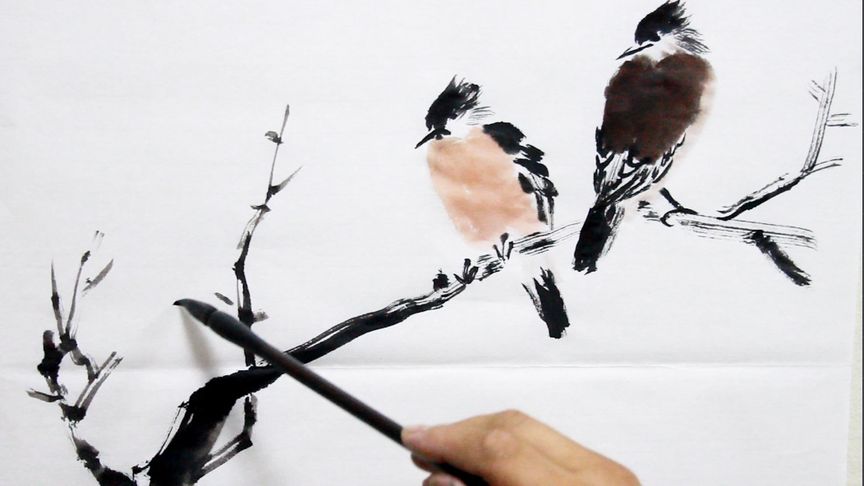 水墨画“勃郎鸟与梅花”简单绘画,步骤清晰,效果太漂亮了