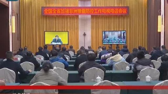 政务简报:全国全省加强非洲猪瘟防控工作电视电话会议召开