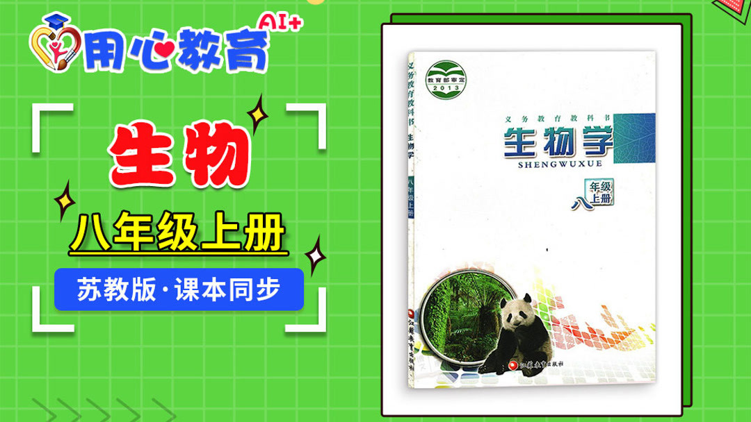 生态系统的组成