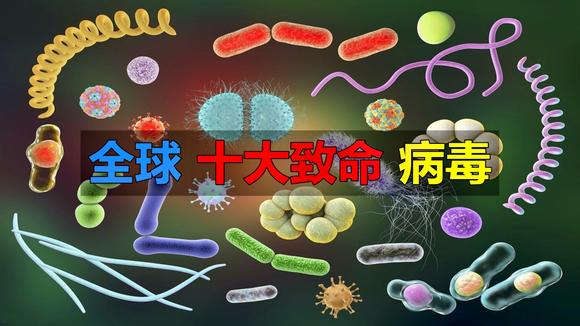 全球最致命的十大病毒,传染性极强,人类在它们面前简直不堪一击