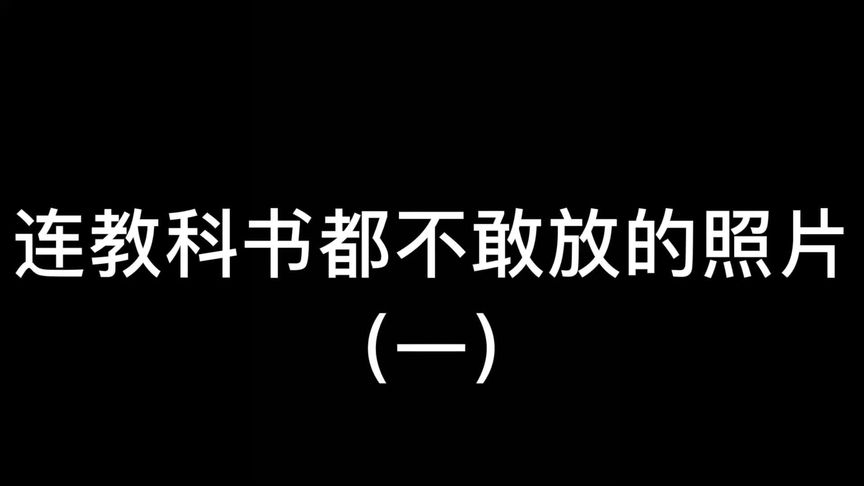 连教科书都不敢放的照片#希望能火
