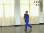 中国武术套路表演