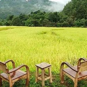 百科知识小技巧 