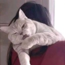 玄玄女巫放映室 