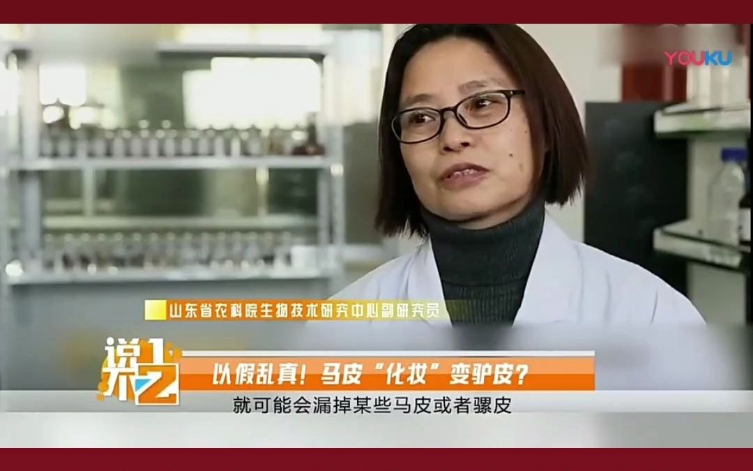 阿胶,马皮“化妆”成驴皮,阿胶市场造假乱象多,专家教你辨别真假阿胶