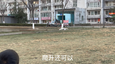 扑翼飞行器优化后的状态