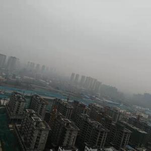 睡梦狂龙 