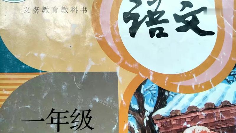 人教版一年级语文下册 培优教学 我会写汉字树和喜鹊 学习正确书写...