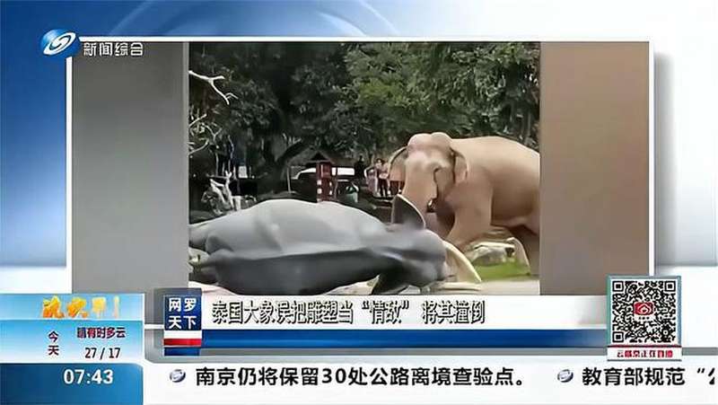 哭笑不得!泰国大象误把看门雕塑大象当“情敌”,怒将其撞到
