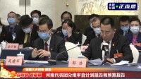 云听会 看履职 河南代表团分组审查计划报告和预算报告