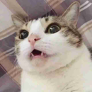 趣味游戏视频集锦 