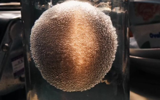 鸡蛋与醋的实验记录