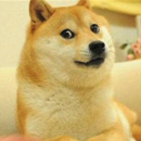 搞笑是很认真的 