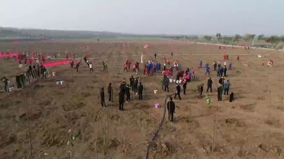 邓州市冬季植树造林活动现场
