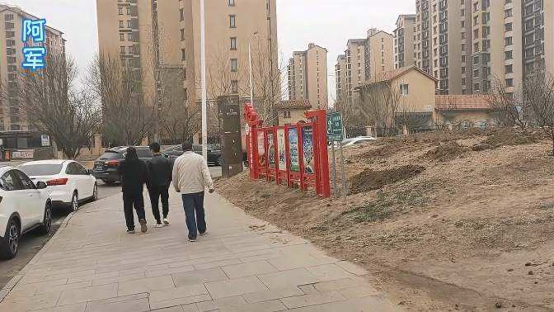 春天到啦,到处都在植树造林