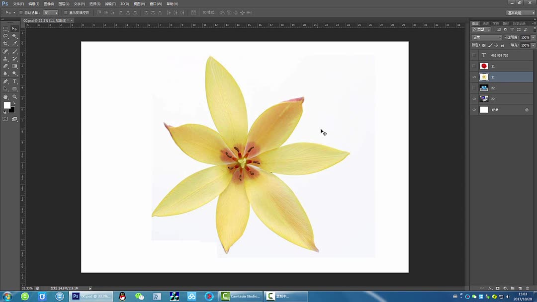 photoshop学习视频 ps基础入门教程 ps羽化