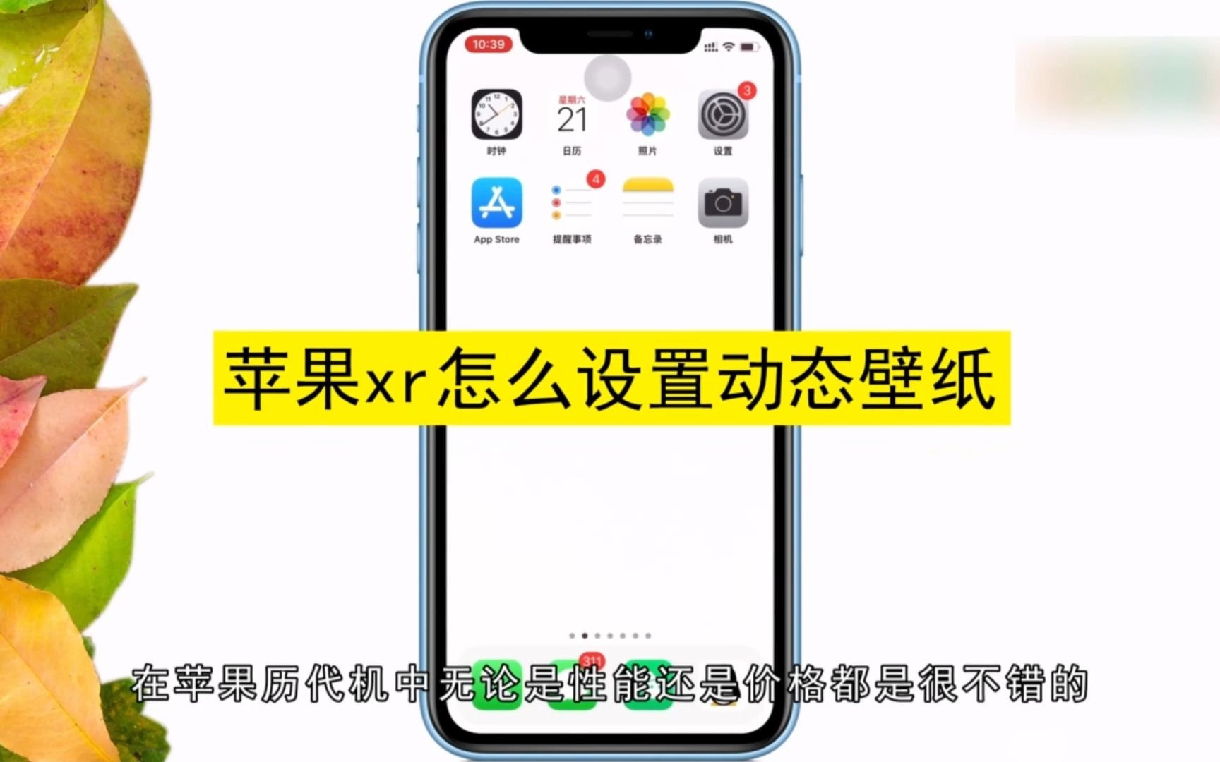 苹果xr如何设置动态壁纸?苹果xr设置动态壁纸