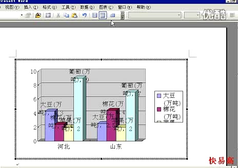 Word 2003 如何隐藏图表中图形上方的各类标注