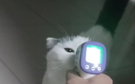 请出示健康码 谢谢