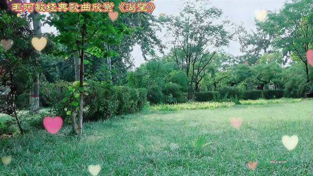 毛阿敏经典歌曲欣赏《渴望》