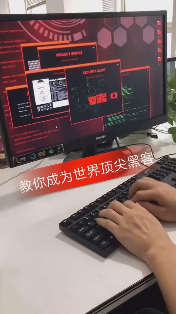 #爱官方爱热门 #热门 #程序员 geektyper装X必备