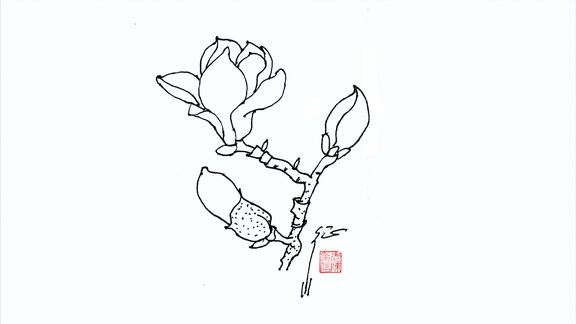 钢笔画花卉,如何让画面更好看更合理?3个细节,你要知道