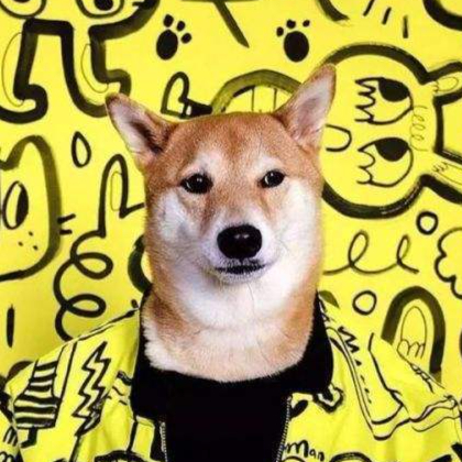 到底谁给我取名叫狗哥 