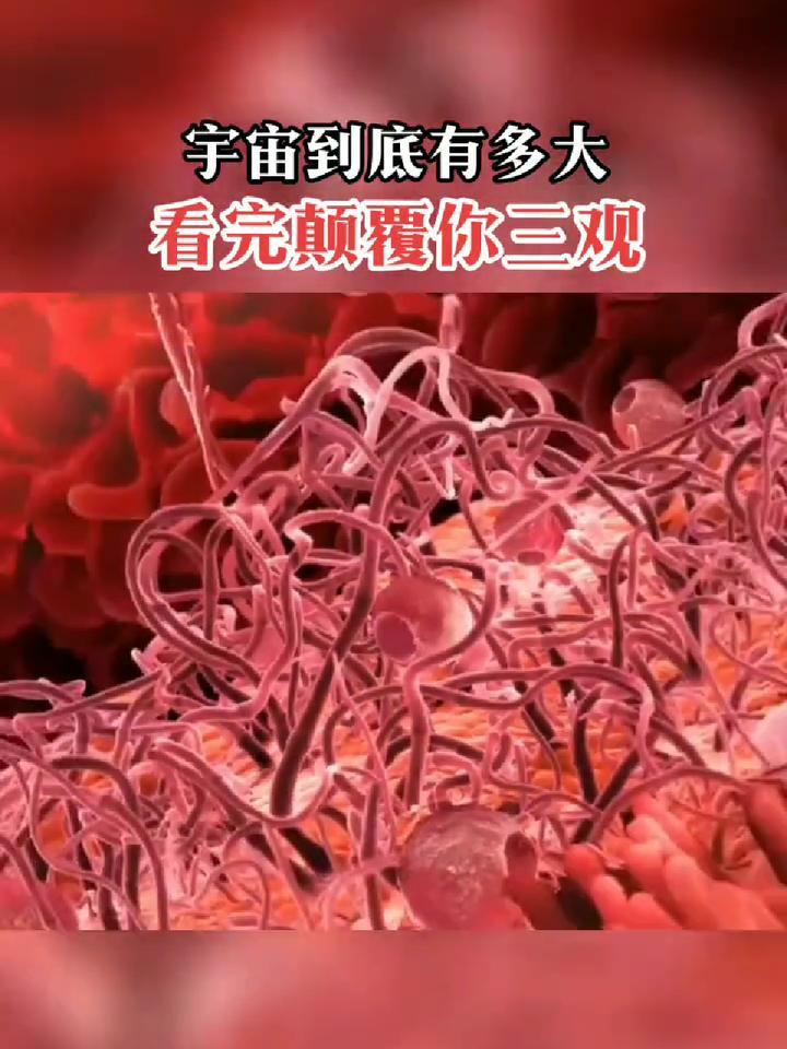 科学家猜测宇宙可能是一个生命体#世界未解之谜 #科普 #探索宇宙 #...