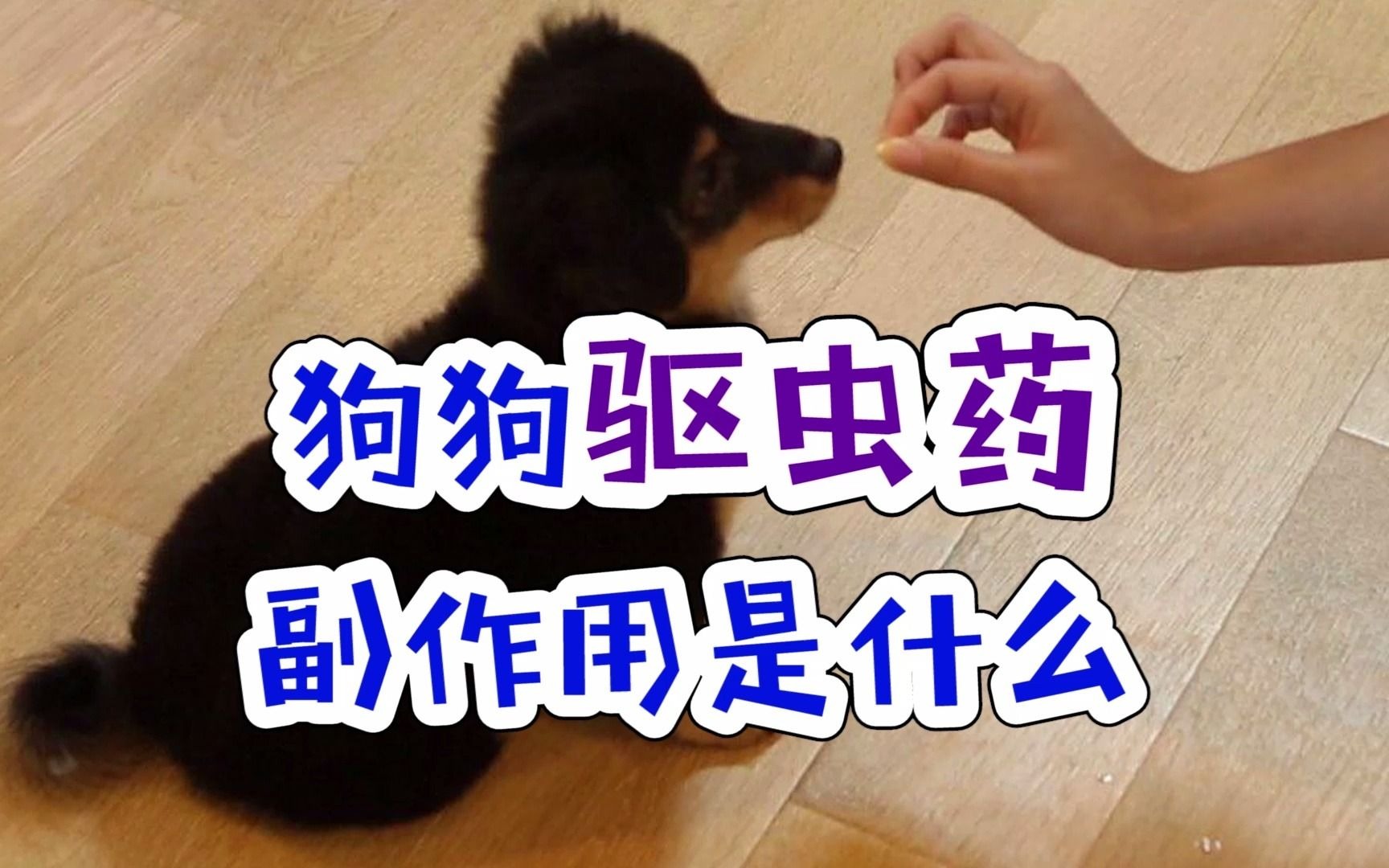 狗狗驱虫药副作用是什么