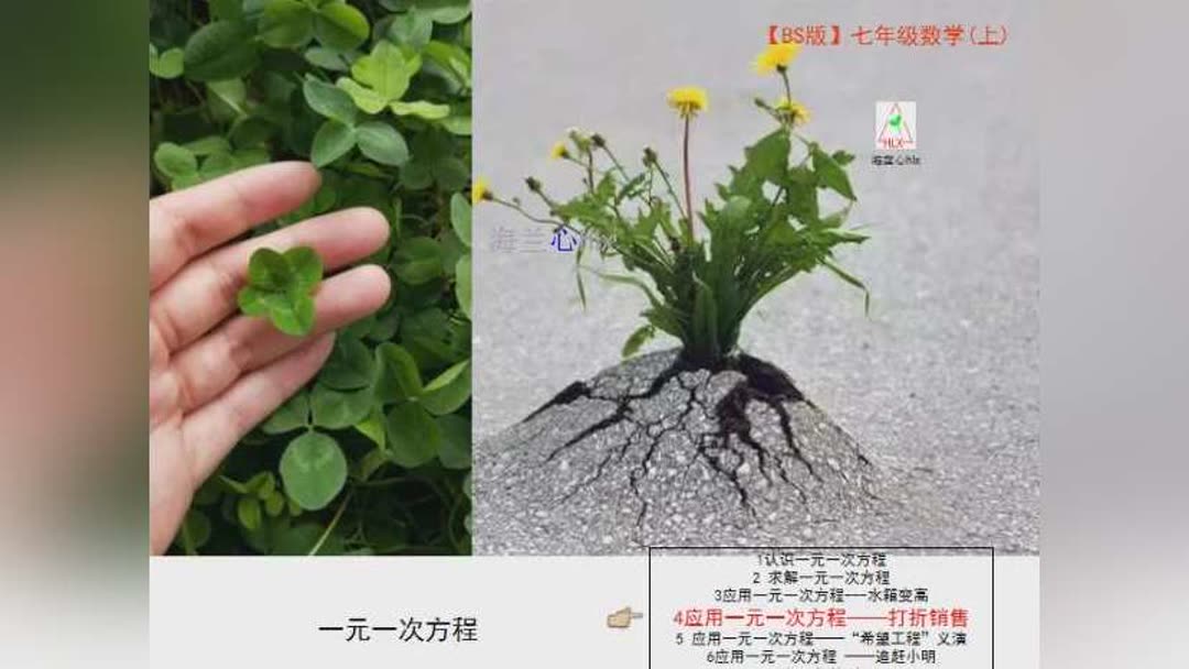 五一元一次方程:4应用一元一次方程(打折销售)