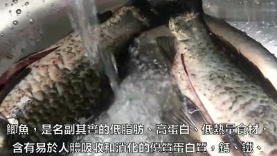 用它煲汤营养丰富,且富含蛋白质、易于消化吸收,味道也非常不错