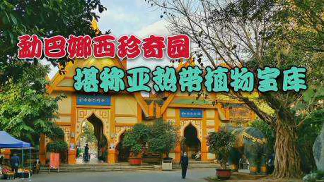 芒市勐巴娜西珍奇园树化玉藏量丰富、形式多样完全可以说无以伦比