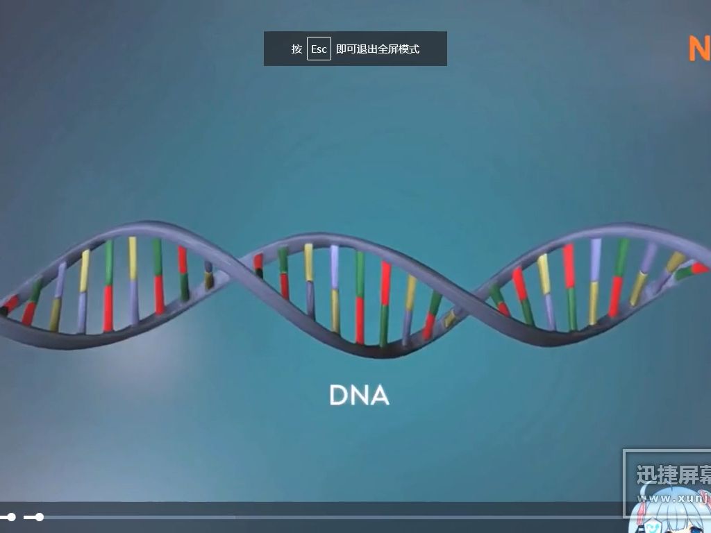 新课标高中生物 DNA复制的清晰完整过程视频 探究实验