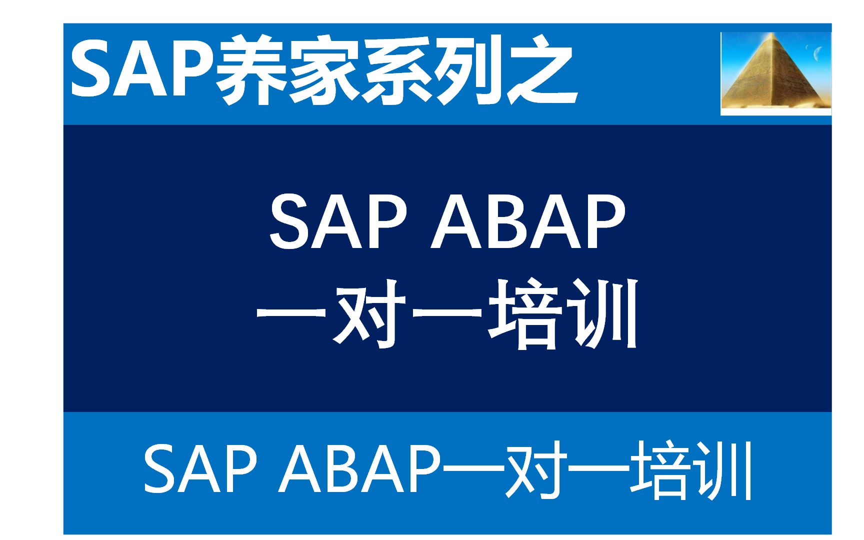 SAP ABAP一对一培训 SAP S4 HANA FICO 培训 SAP S4 HANA MM ...